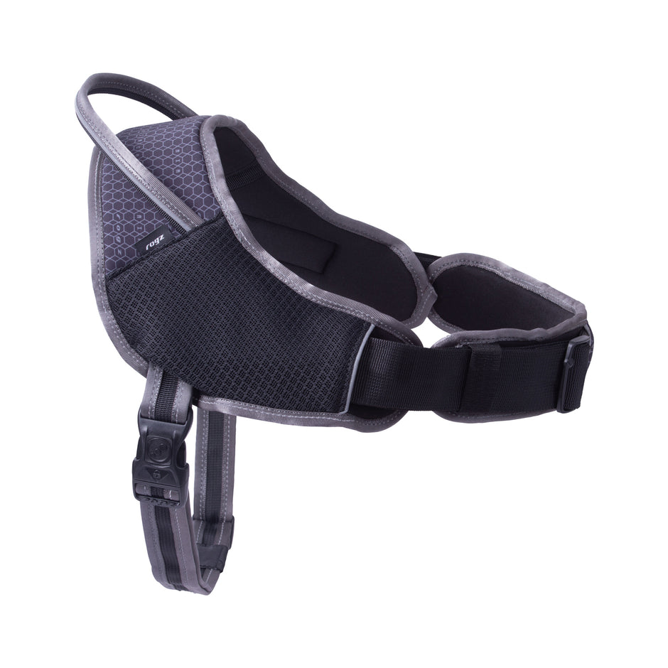 Clearance – Rogz Australia