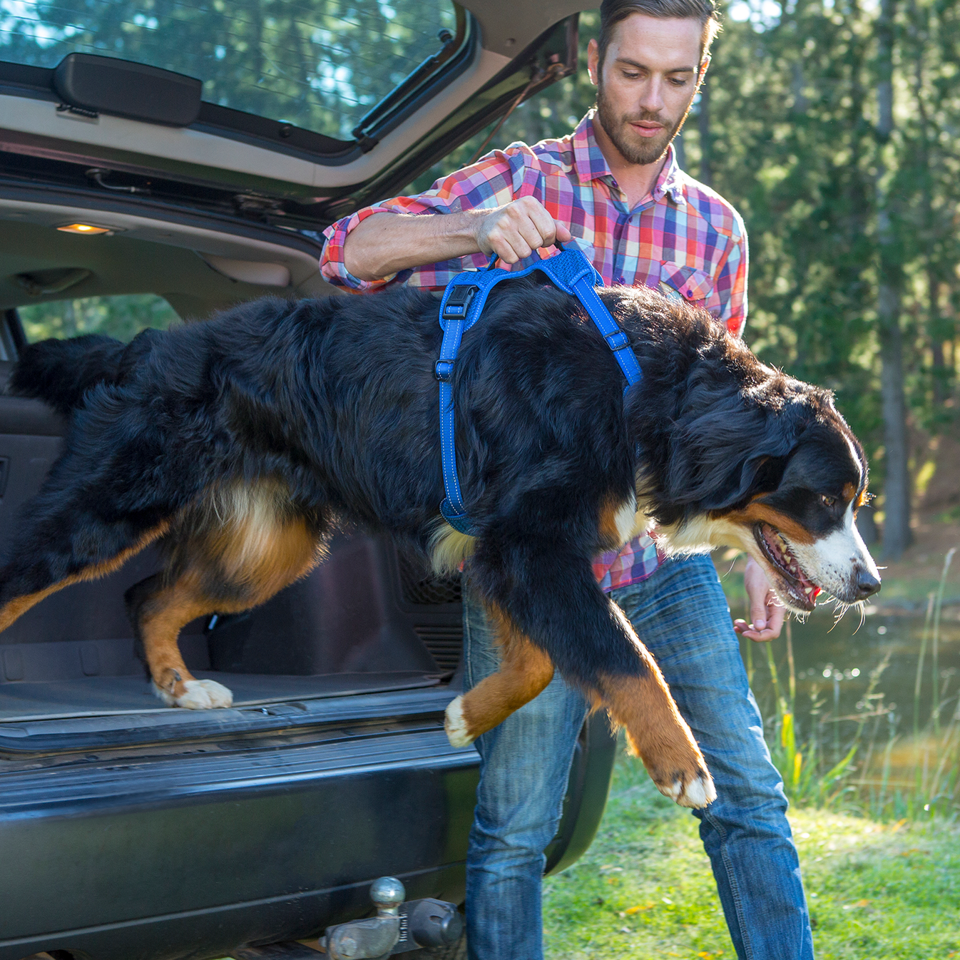 Rogz Utility Explore Harness – Rogz Australia